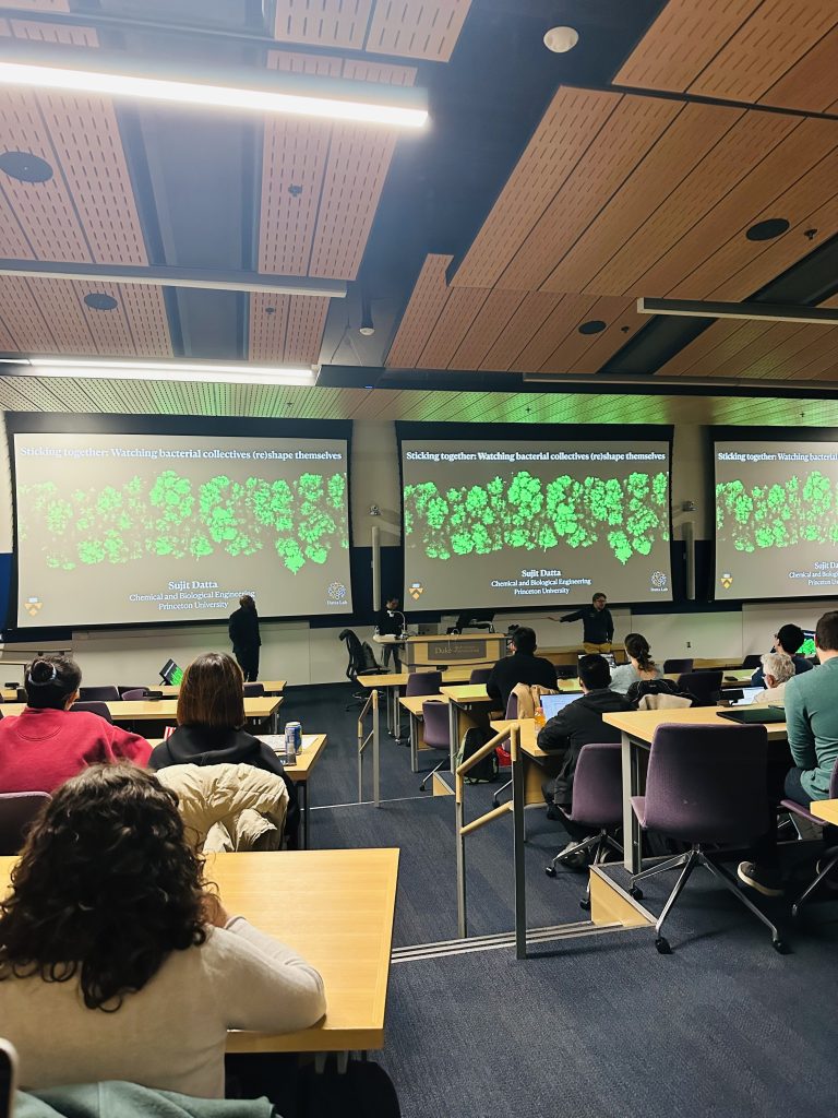 Sticking together: How bacterial collectives (re)shape themselves with ...